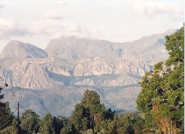 Chimanimani Highlands | African Budget Safari