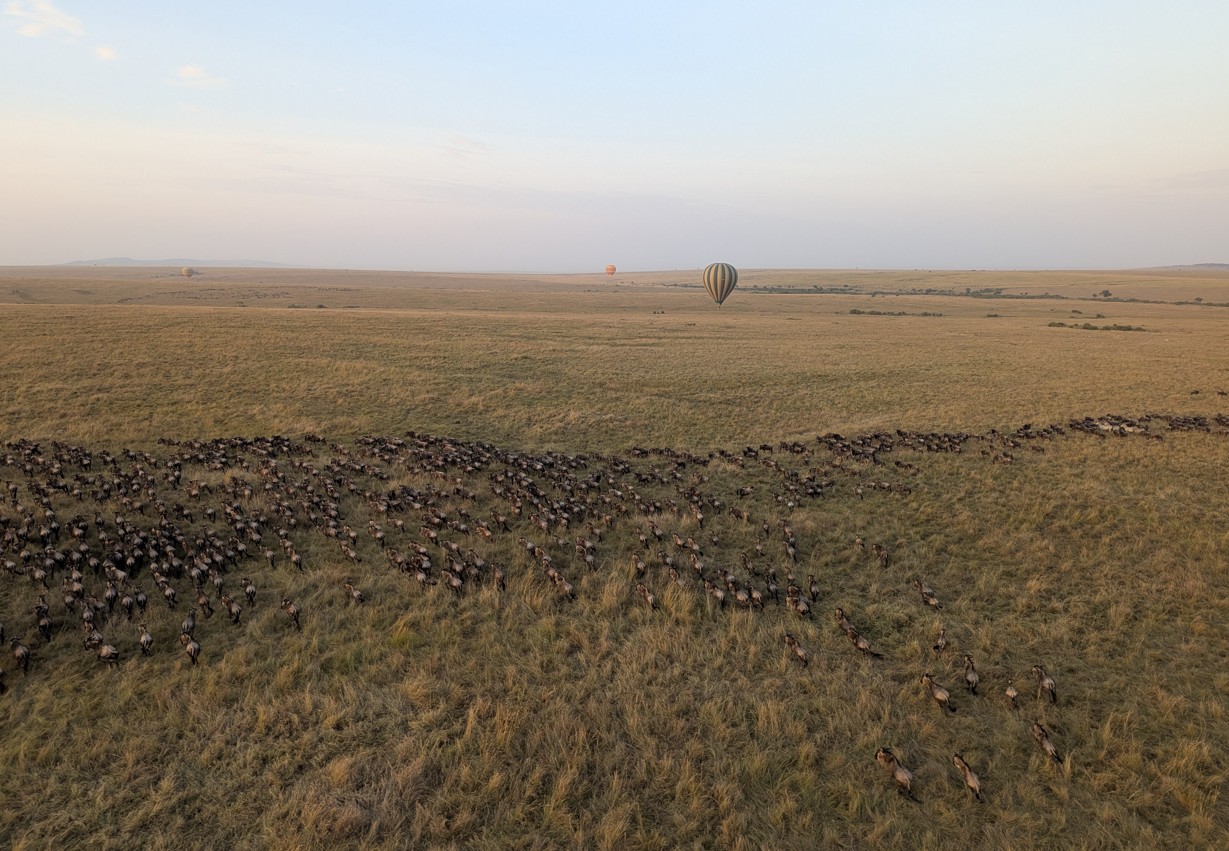 Beyond the Checklist: Finding the Real Magic of the Mara - African ...